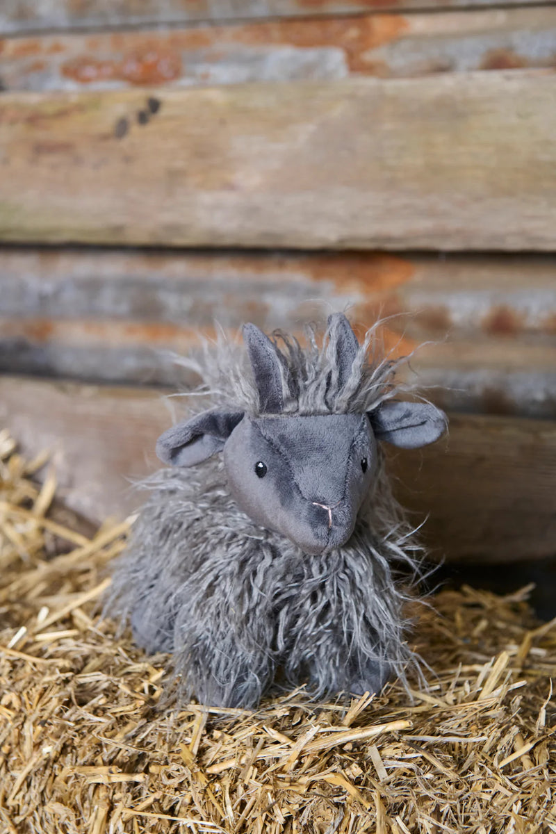 Nana Huchy Aiden the Angora Goat | The Tribe - Swan Valley