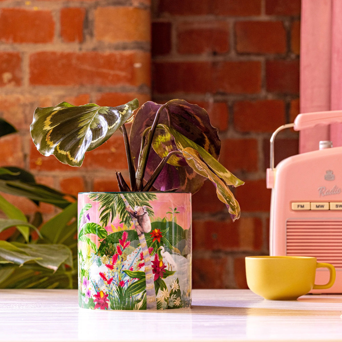 La La Land Pot Planter - Mother Nature | The Tribe - Swan Valley